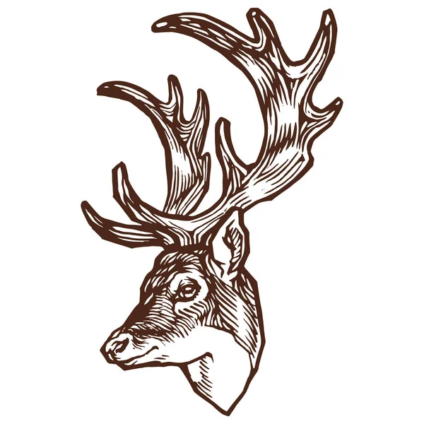 Elk Antlers Outline