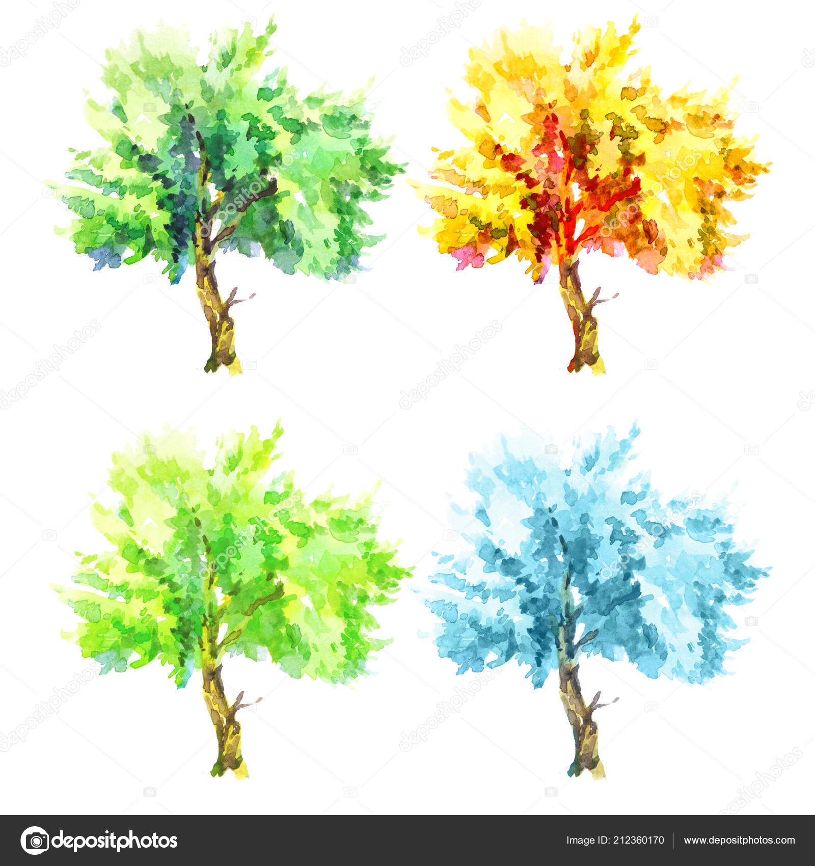 Winter Spring Summer Fall Trees