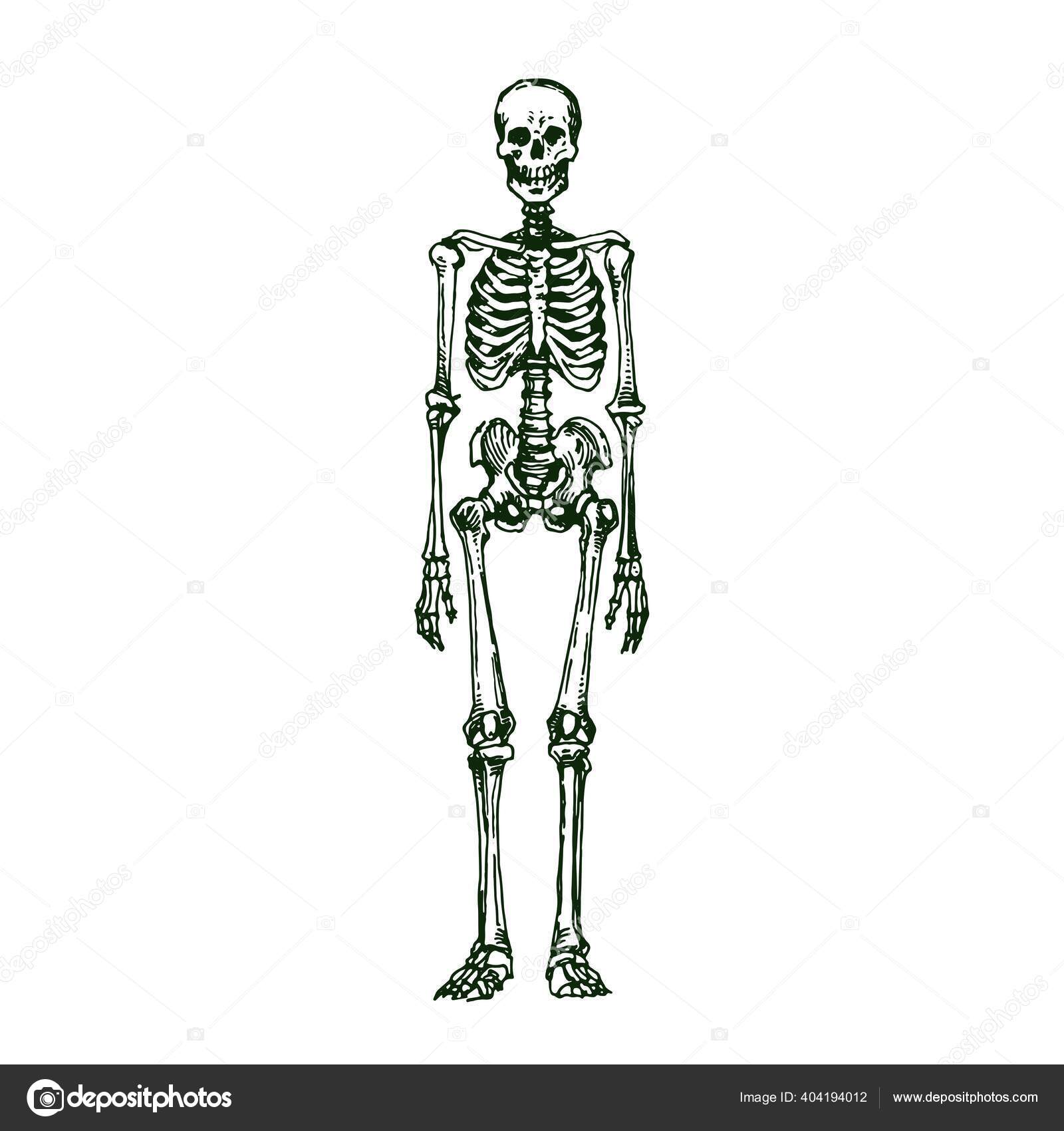 Black And White Bones