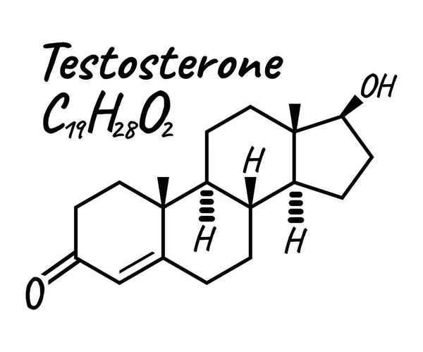 Testosterone Structural Formula — Stock Vector © Leonid Andronov 12099515