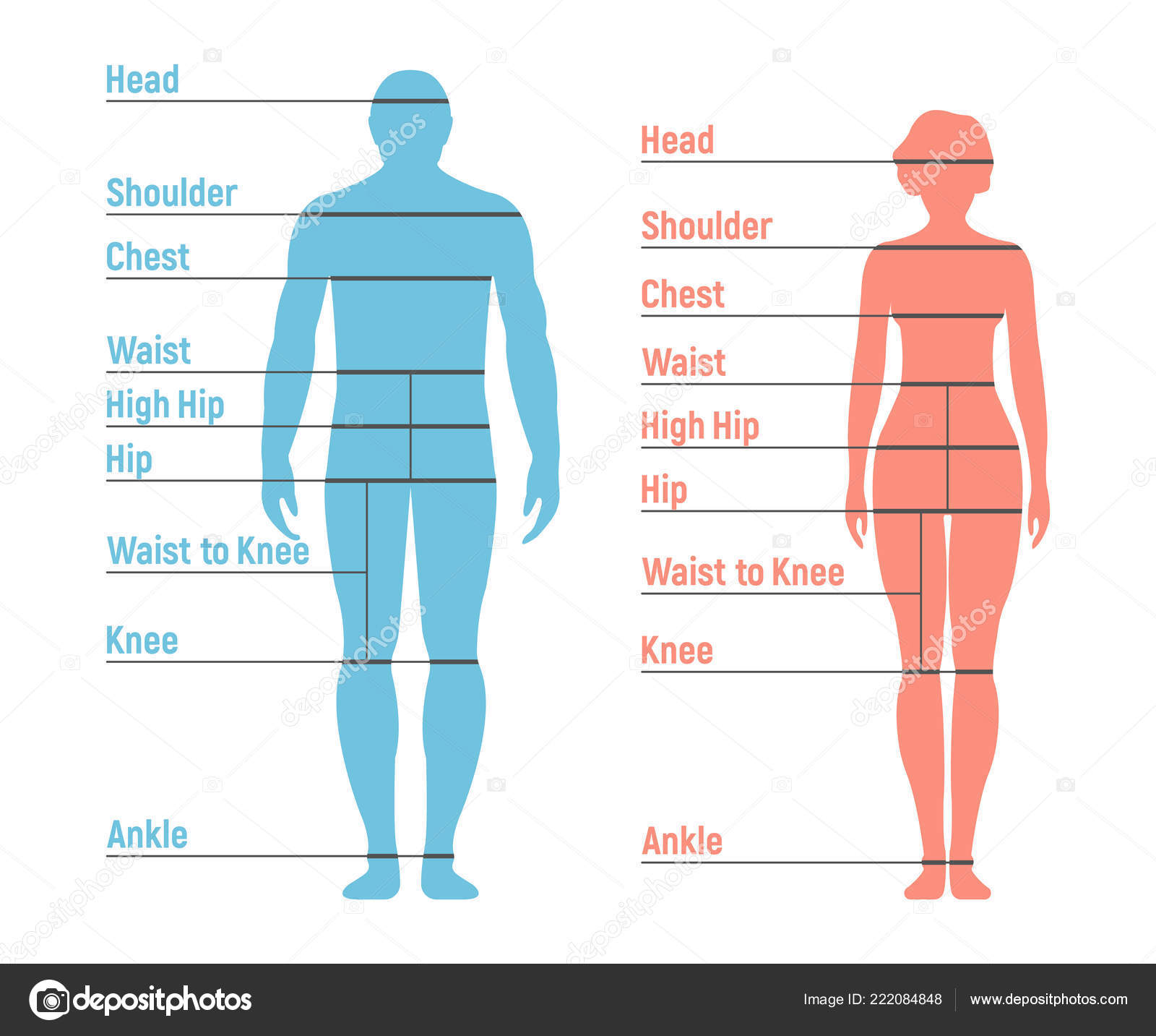 Woman Girl Size Chart Human Front Side Silhouette Isolated White Stock