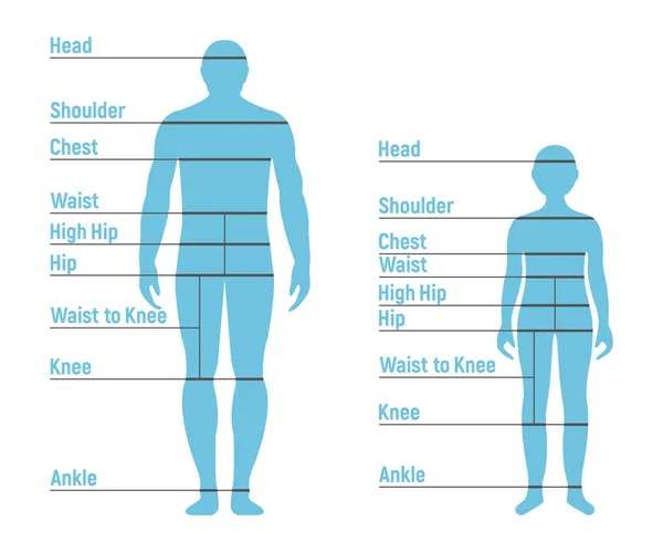 Woman Girl Size Chart Human Front Side Silhouette Isolated White Stock