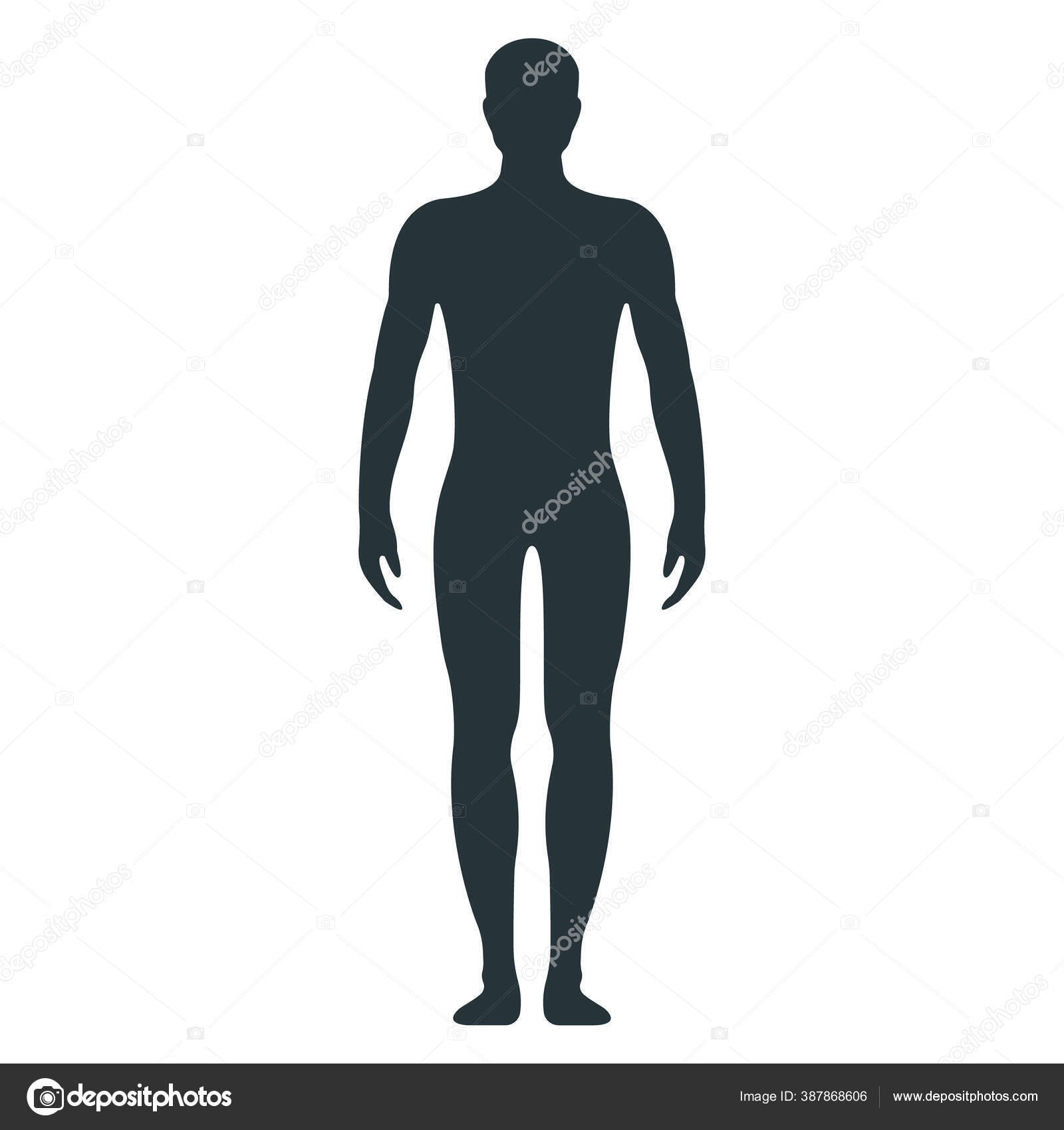 Male Human Character People Man Front Side Body Silhouette Isolated ...