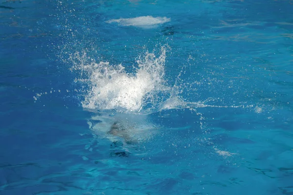 Diving splash Stock Photos, Royalty Free Diving splash Images ...