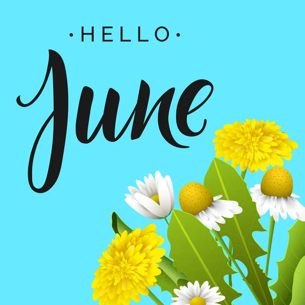 Lettering Hello June Yellow Dandelions Camomiles White Background Stock ...