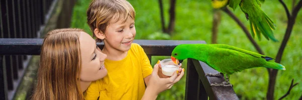 Children with parrot Stock Photos, Royalty Free Children with parrot ...