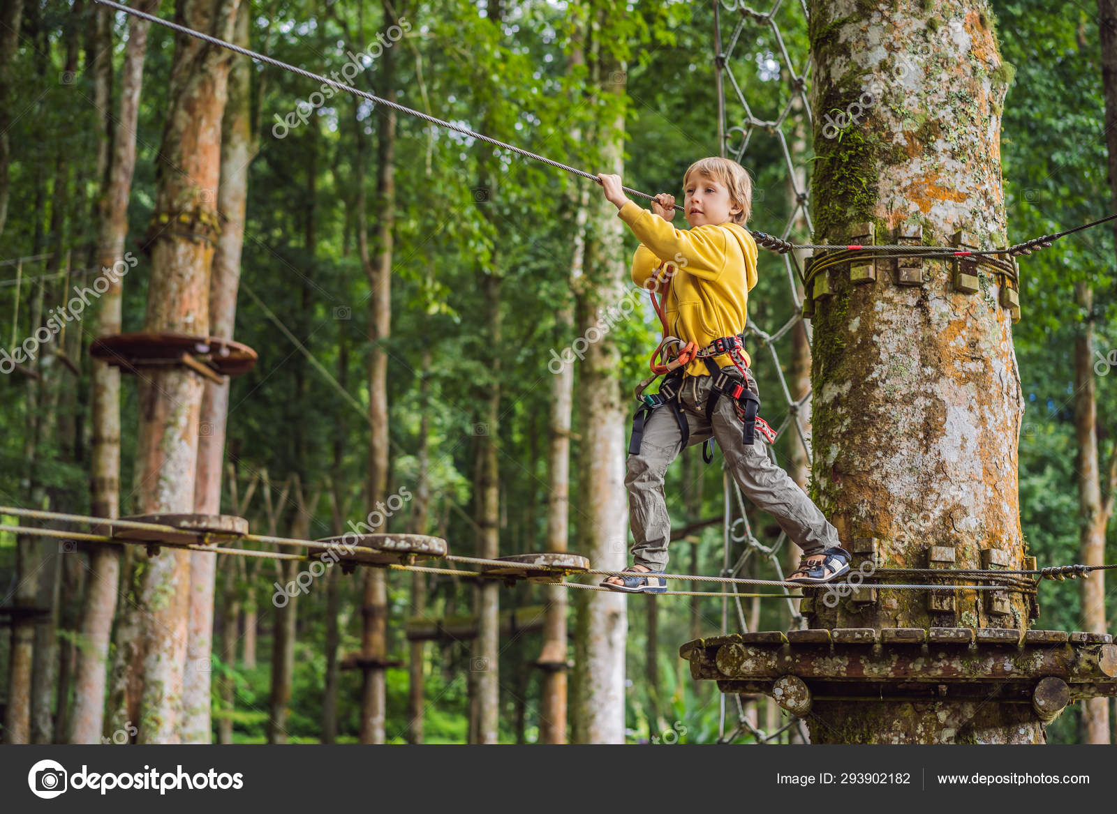 Little boy in a rope park. Active physical recreation of the child in ...