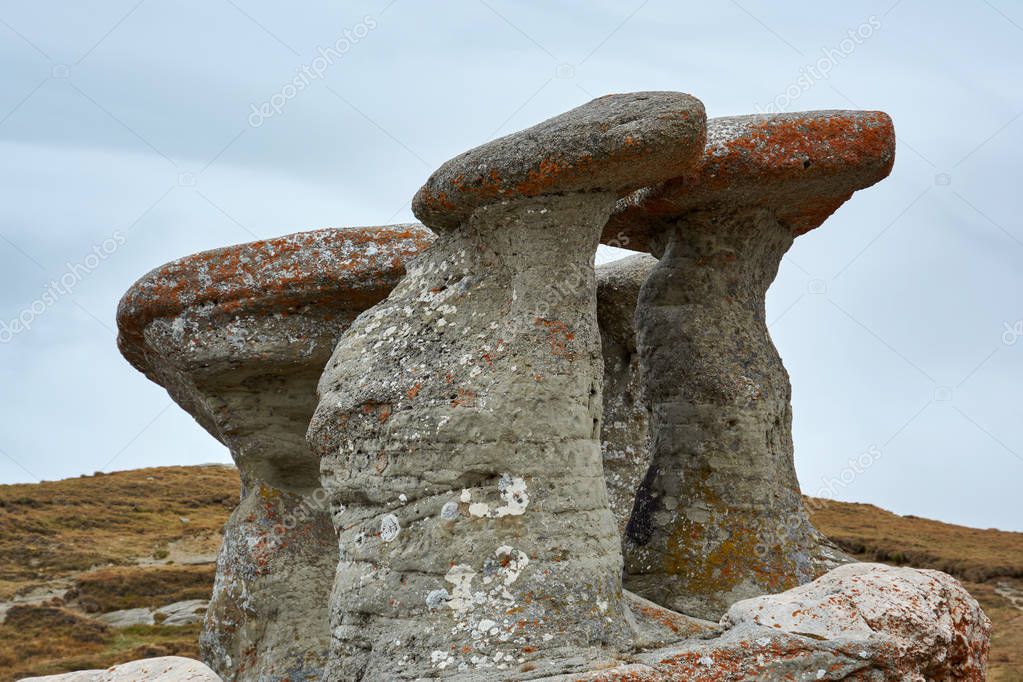 Monumento Natural Babele, piedra en el Parque Natural de Bucegi en ...