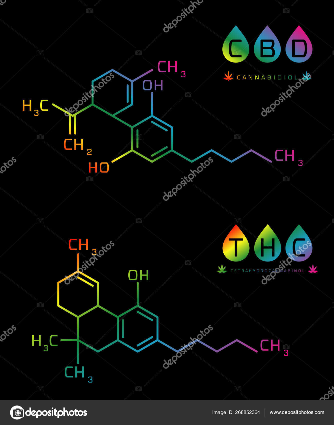 Thc and cbd of Cannabis molecule formula vector illustration Stock ...