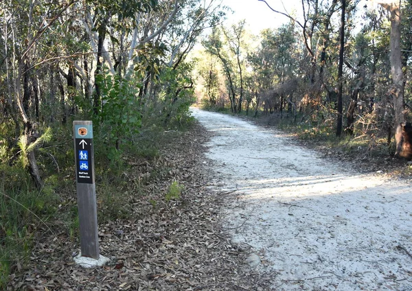Bushwalking Stock Photos, Royalty Free Bushwalking Images | Depositphotos