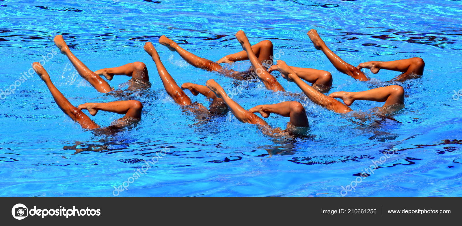 Synchronized Swimmers Point Out Water Action Synchronized Swimmers Legs ...