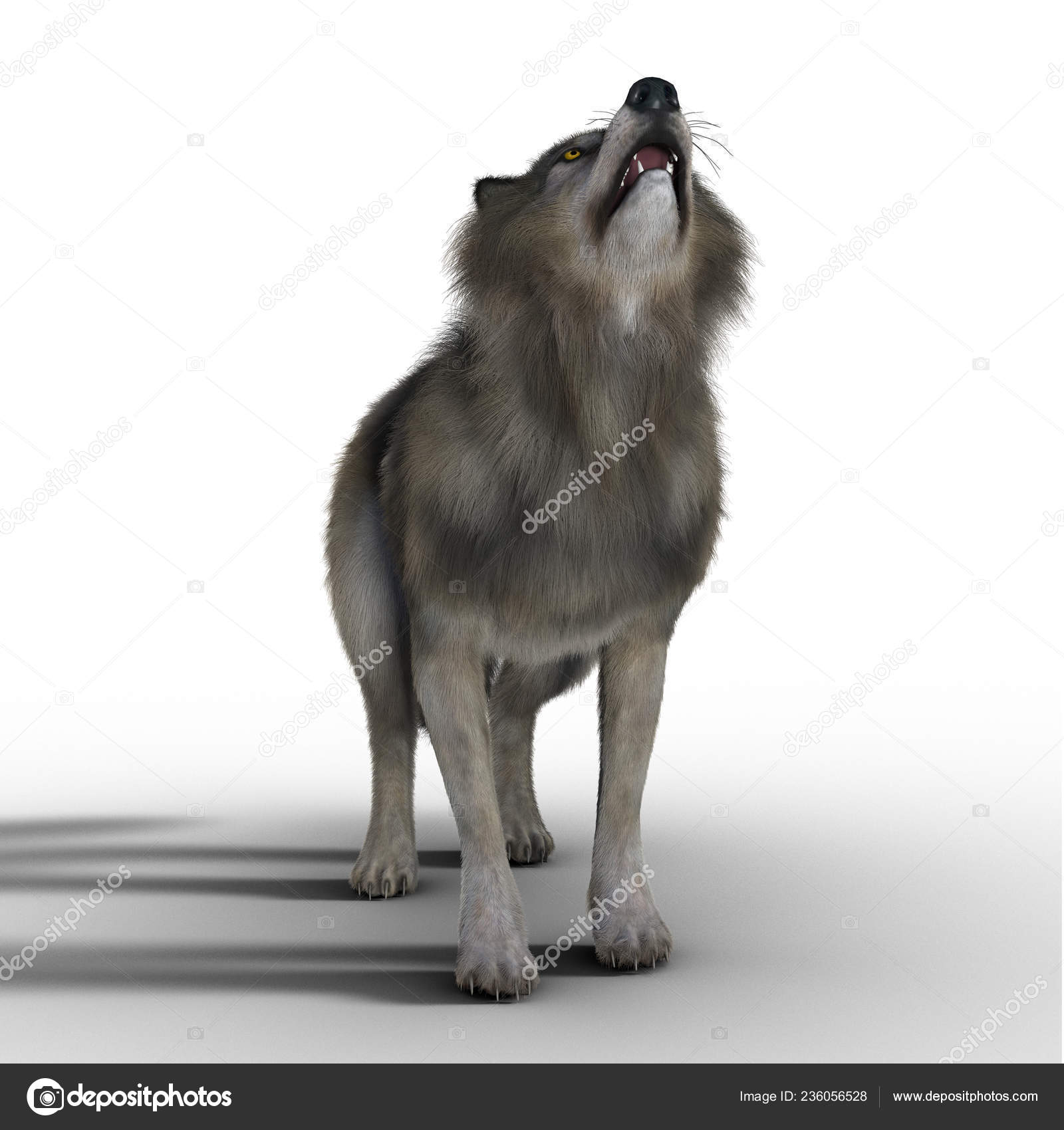 Brown Wolf Howling
