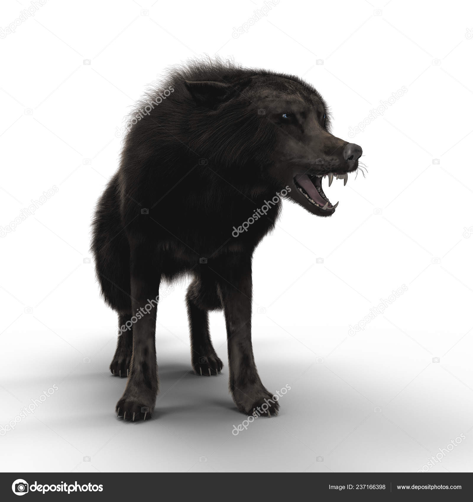 Illustration Rendering Snarling Black Wolf Ready Defend Fight ...