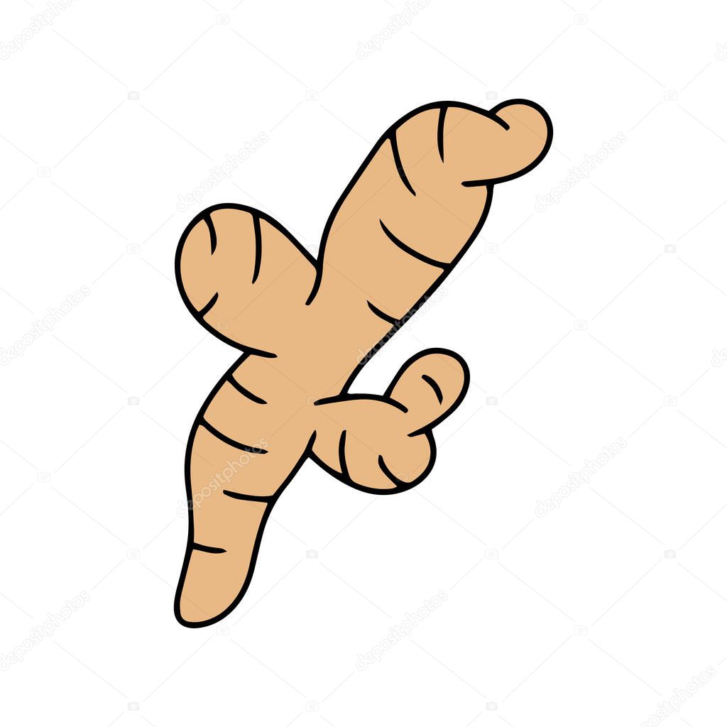 Doodle icono de jengibre aislado en blanco. Niños dibujo a mano línea ...