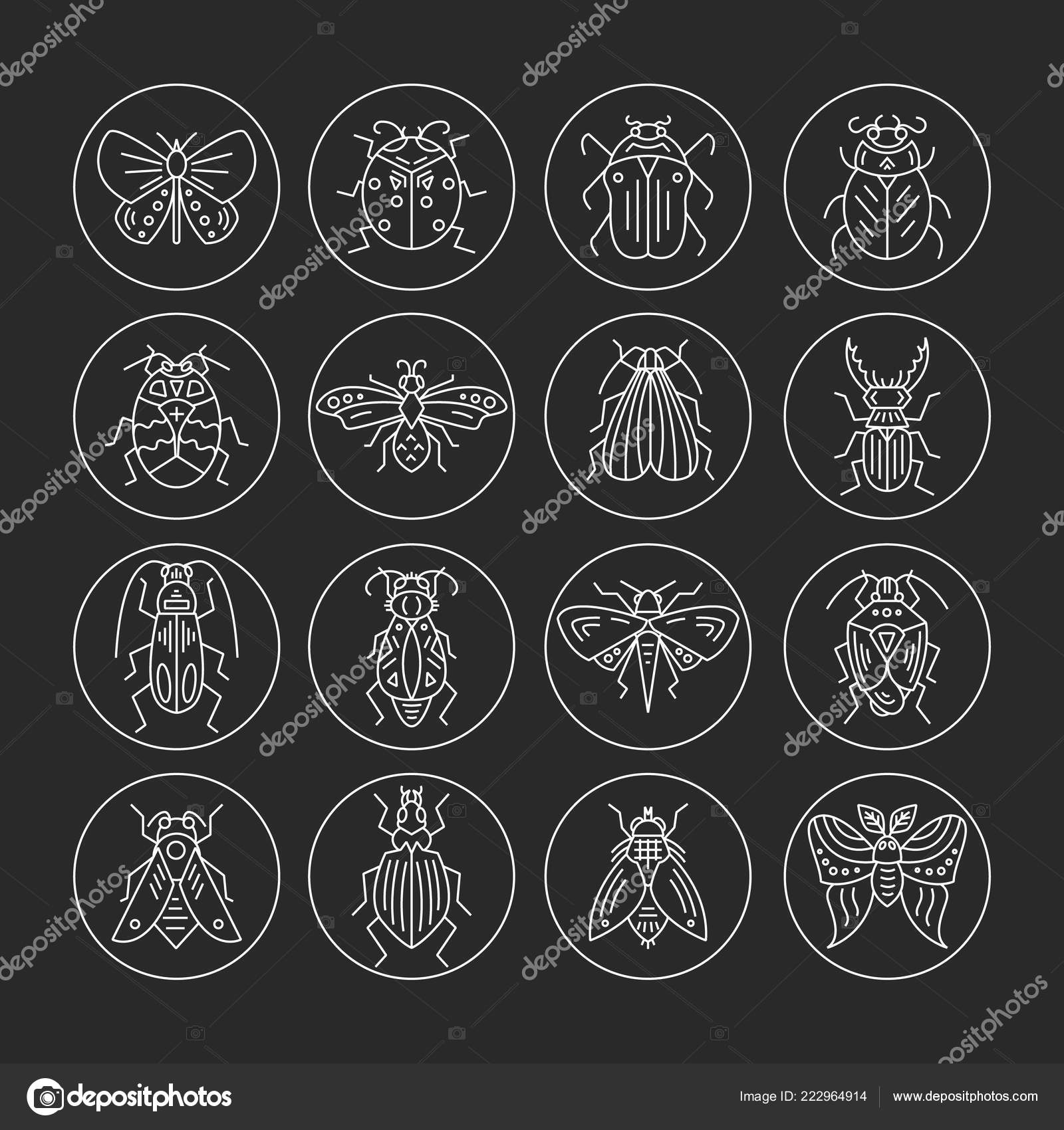 Vector Line Collection Insects Bugs Made Modern Flat Style Stock Vector ...