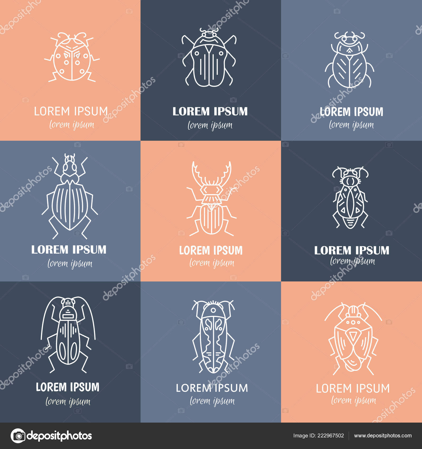 Plantillas Logotipo Vectorial Con Insectos Insectos Hechos Estilo Línea ...