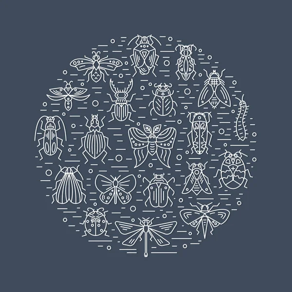 Vector Set Bugs Insects Circle Design Element Made Linear Style Stock ...
