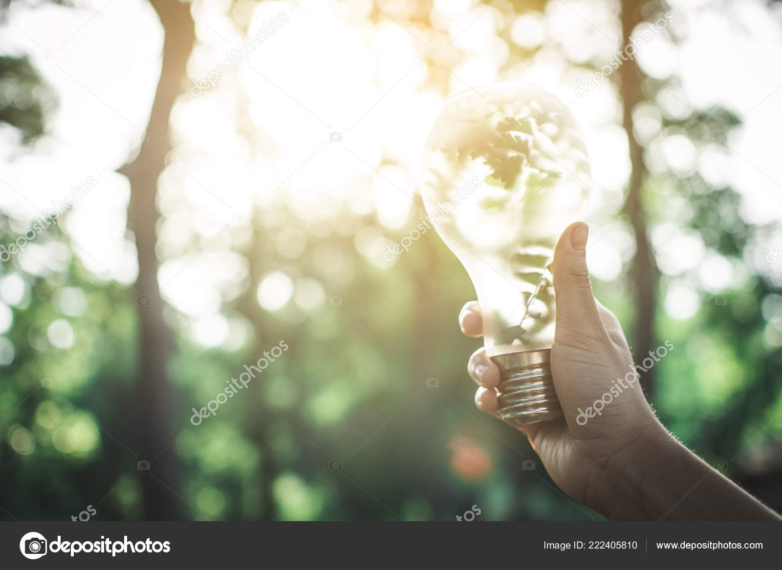 Human Holding Light Bulb Nature Selective Soft Focus Concept Protect ...