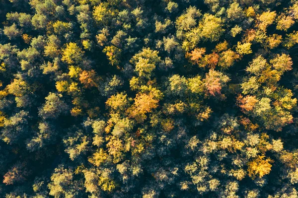 Top down view Stock Photos, Royalty Free Top down view Images ...