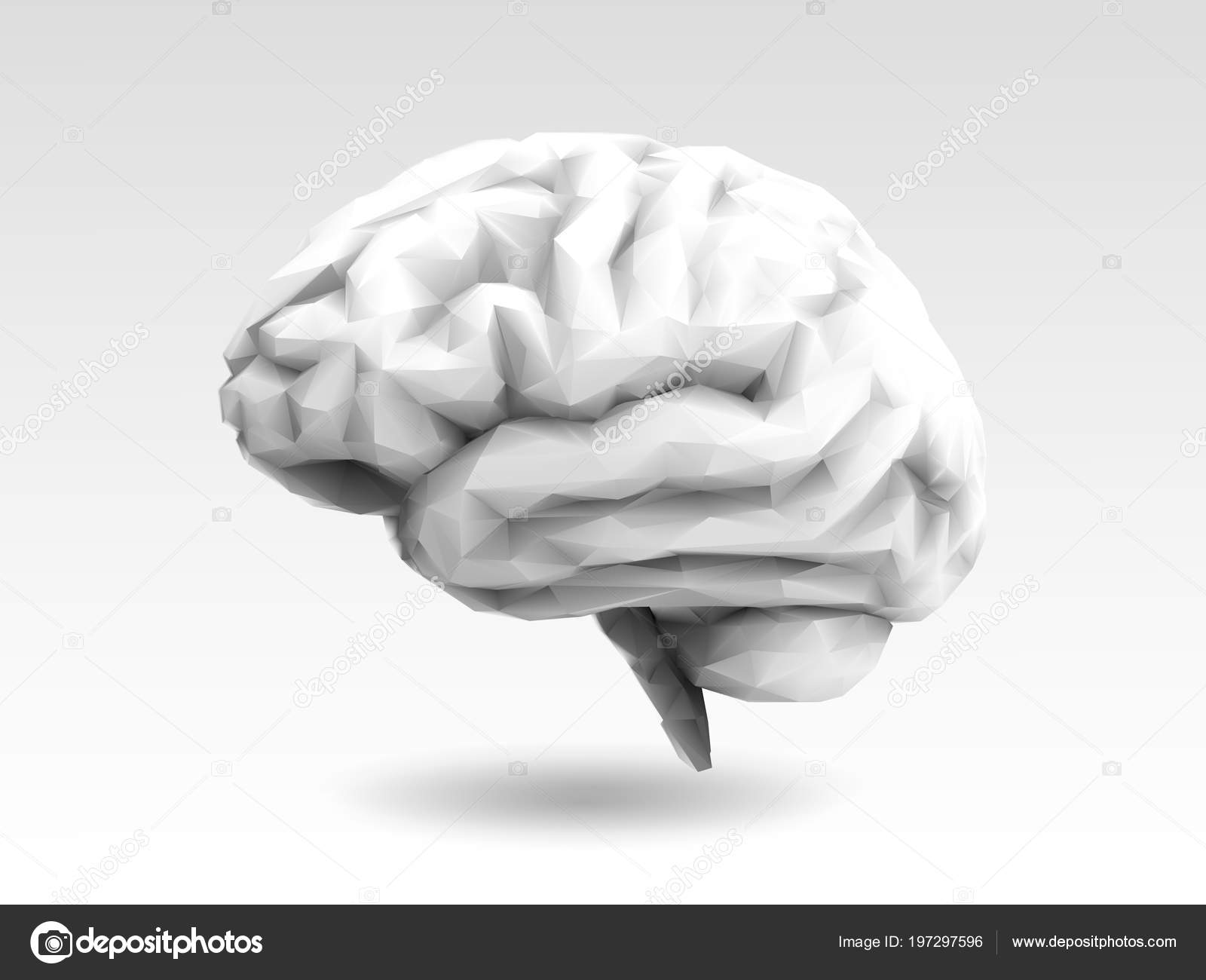 Monochrome Low Poly Stylized Brain Shading Illustration White ...