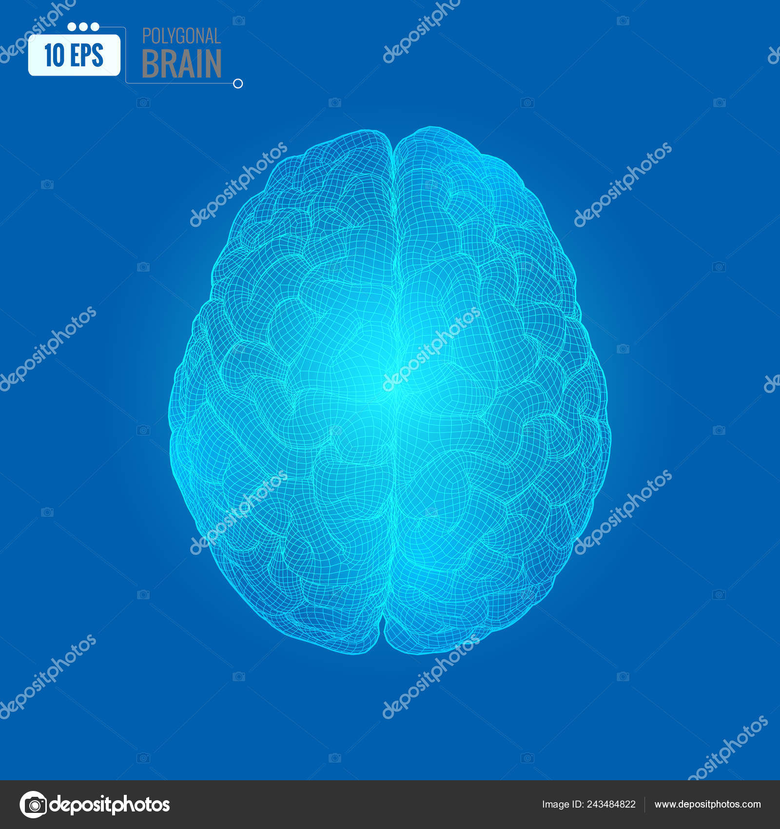 Glowing Digital Wireframe Brain Illustration Top View Isolated Blue ...