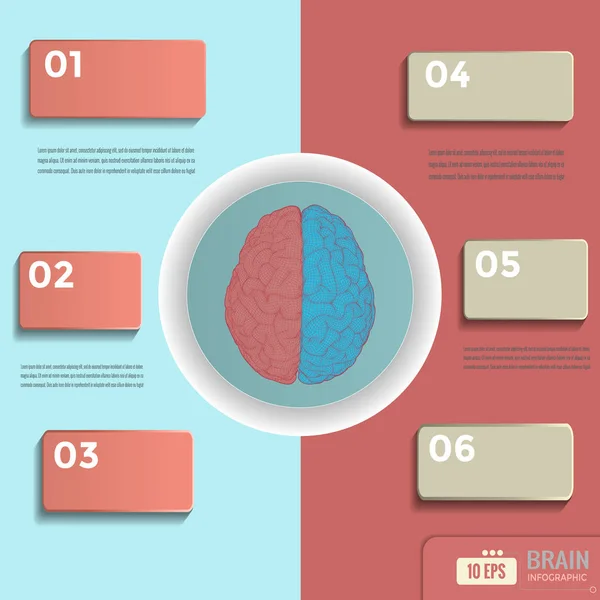 12,387,970 Brain health infographic Vector Images | Depositphotos