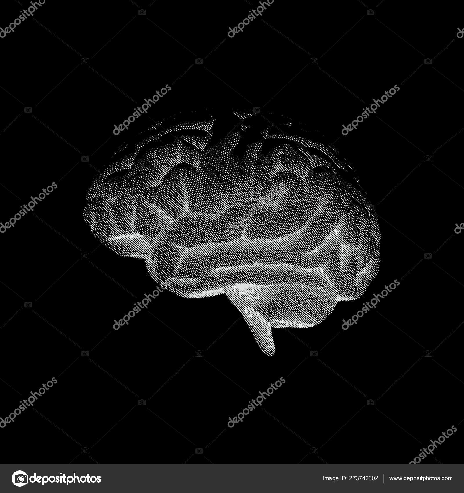 Negative engraving brain on black BG Stock Vector Image by ©Jolygon ...