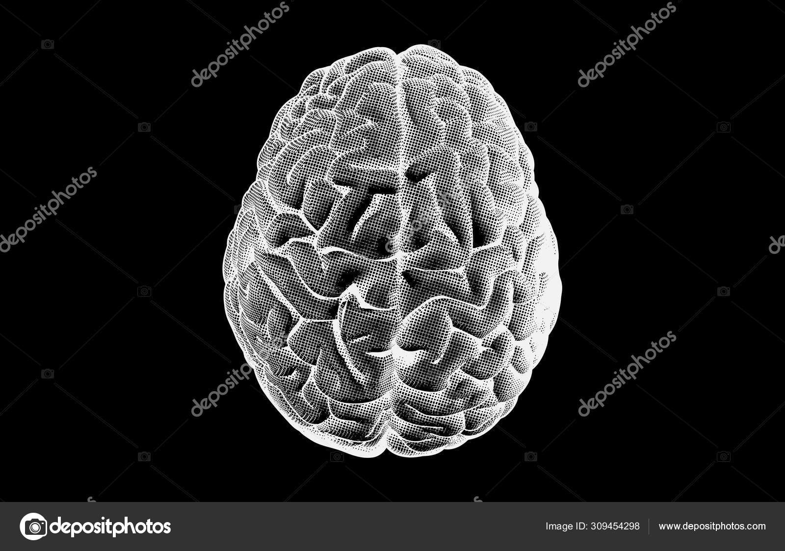 Negative engraving drawing human brain on black BG Stock Vector Image ...