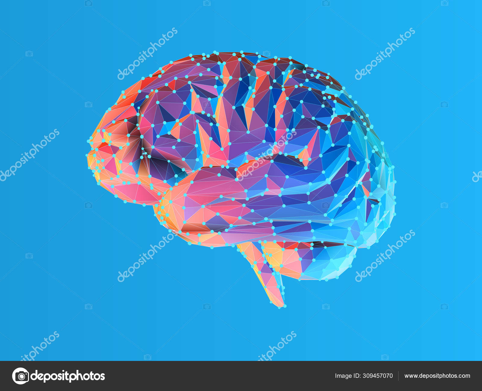 Low poly brain illustration isolated on blue BG Stock Vector Image by ...