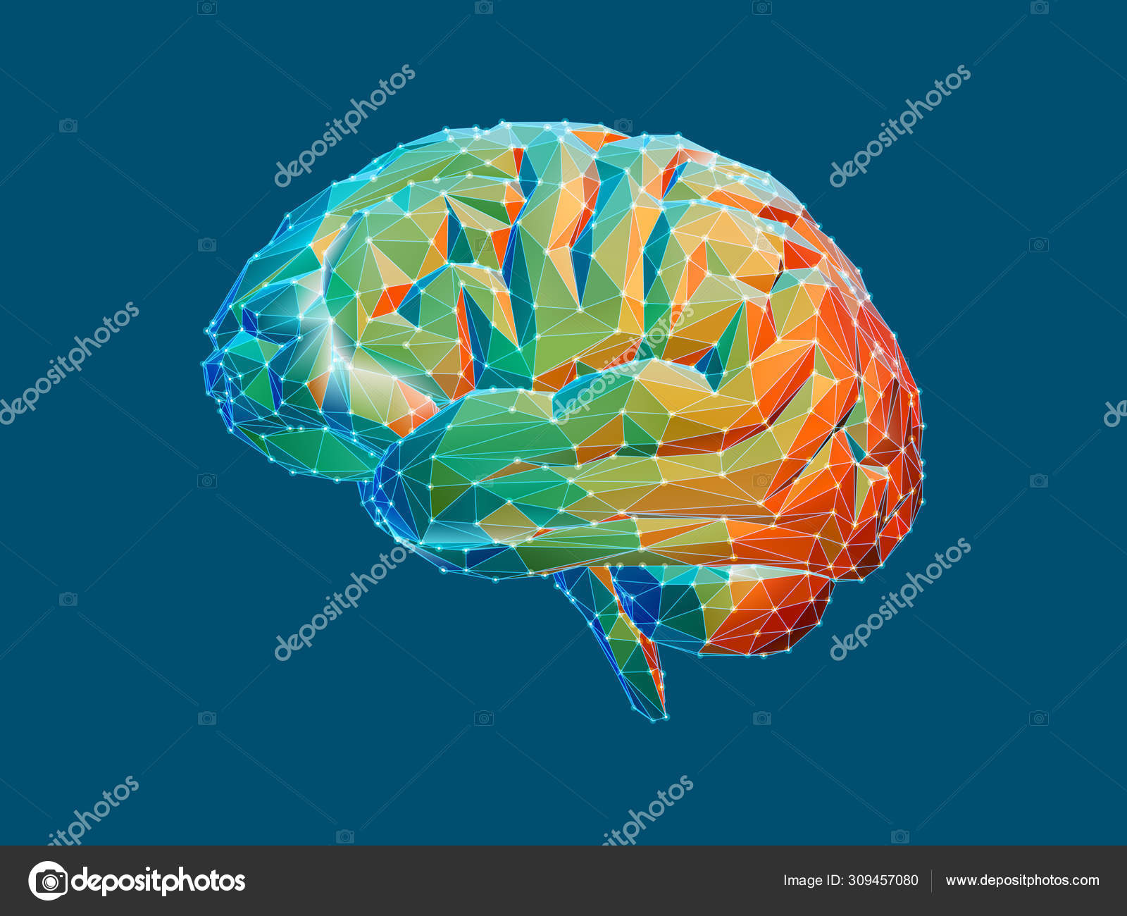 Low poly brain illustration isolated on green BG Stock Vector by ...