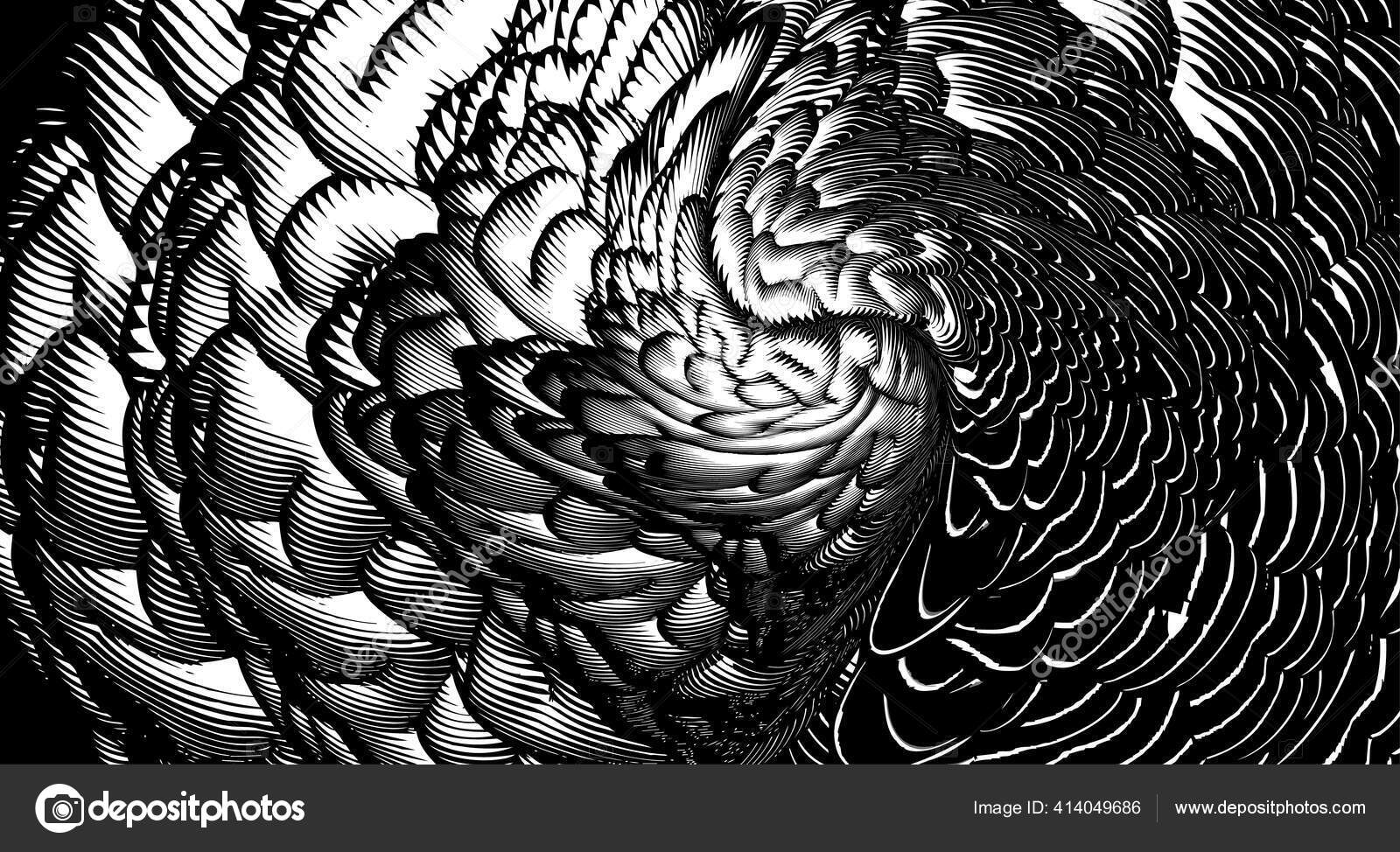 Monochrome Abstract Engraved Drawing Line Art Spiral Brain Flower ...