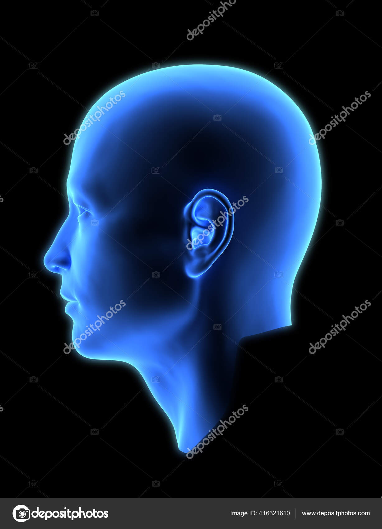 Rendering Human Head Side View Xray Shading Template Demonstration ...