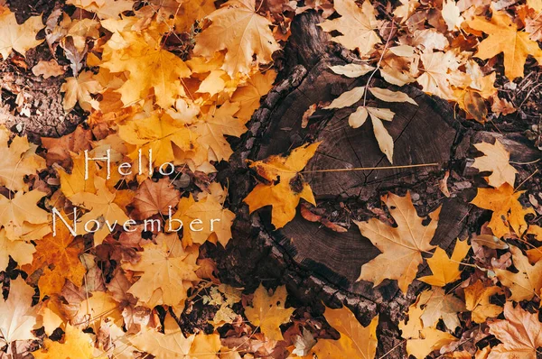 Hello November Computer Wallpaper