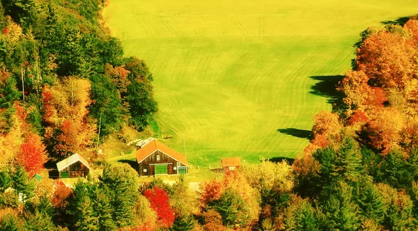 A view from above of autumn forest forests and a farm field in the ...