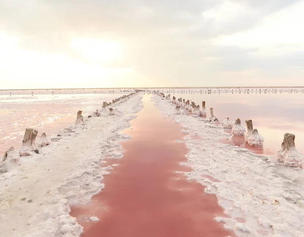 Unique salt lake with pink water and salt at sunset. Rows of wooden ...