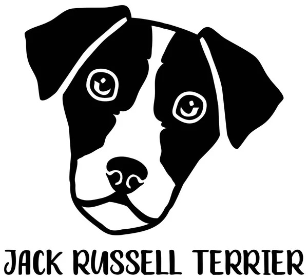 Jack russell logo Vector Art Stock Images | Depositphotos