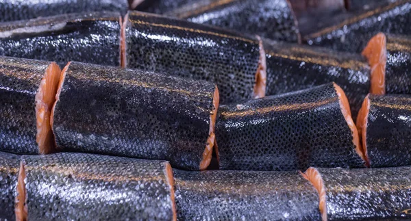 Black salmon family Stock Photos, Royalty Free Black salmon family ...