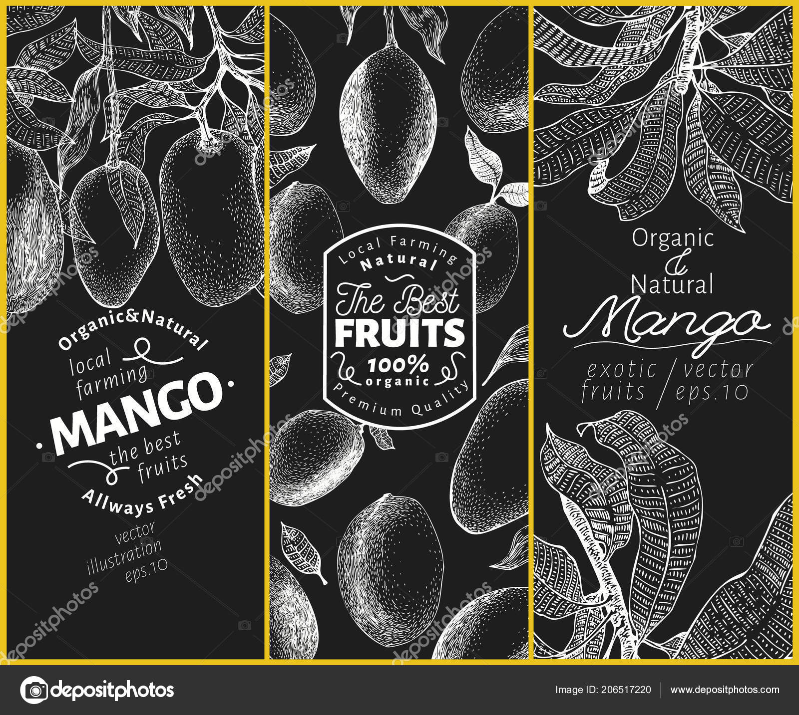Mango fruit banner set. Hand drawn vector fruit illustration on chalk ...