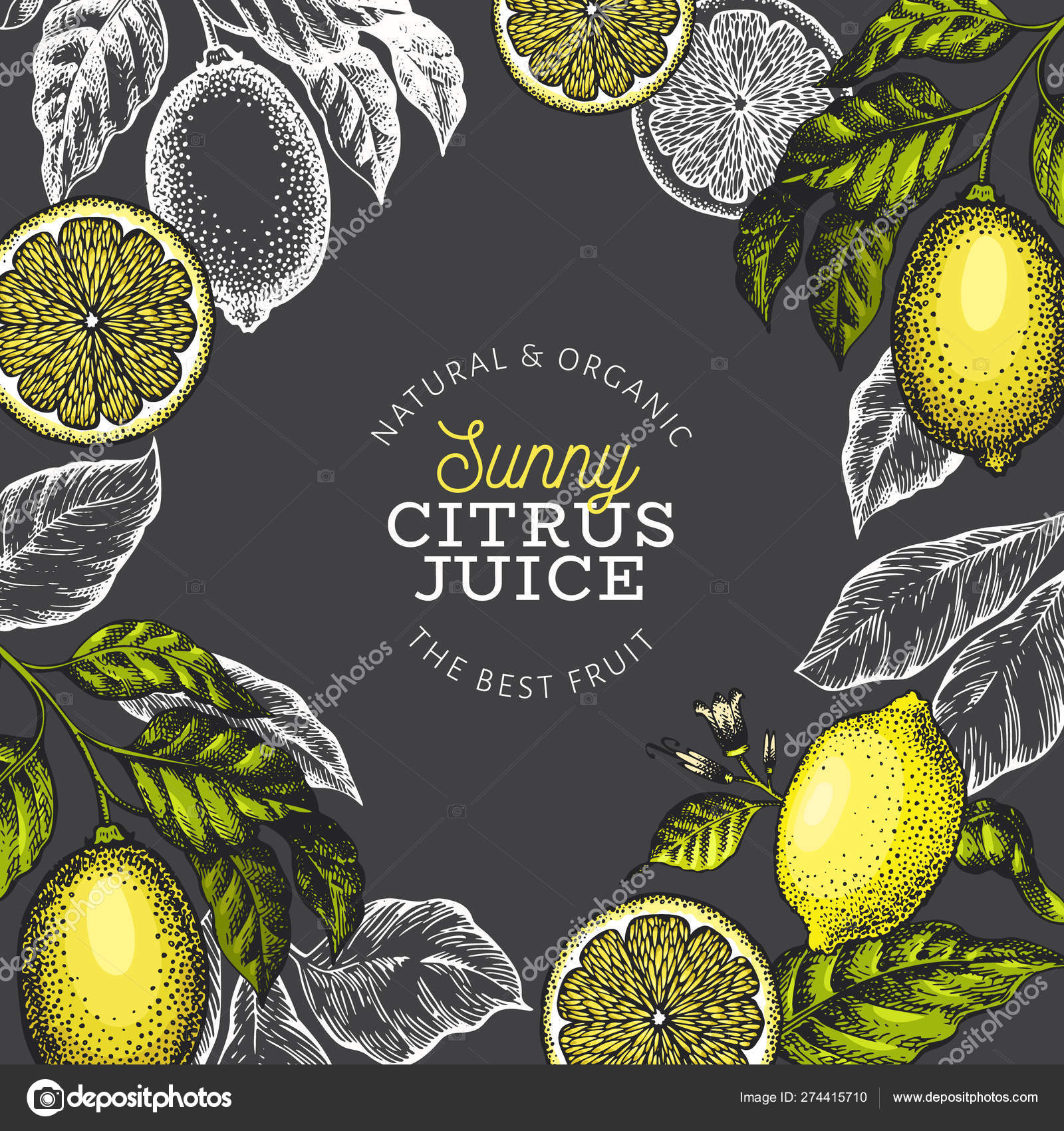 Lemon tree frame template. Hand drawn vector fruit illustration Stock ...