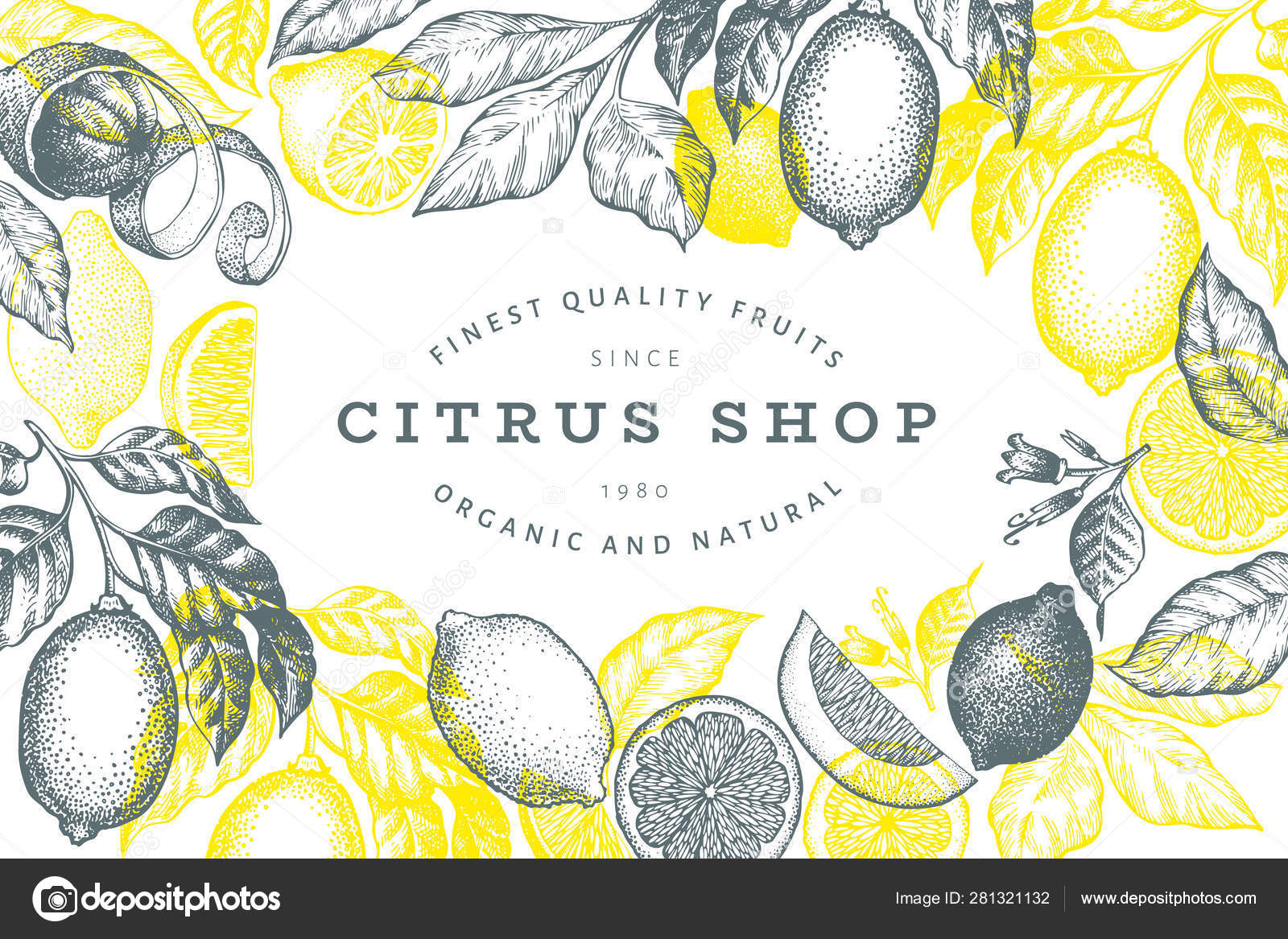 Lemon tree frame template. Hand drawn vector fruit illustration. Stock ...