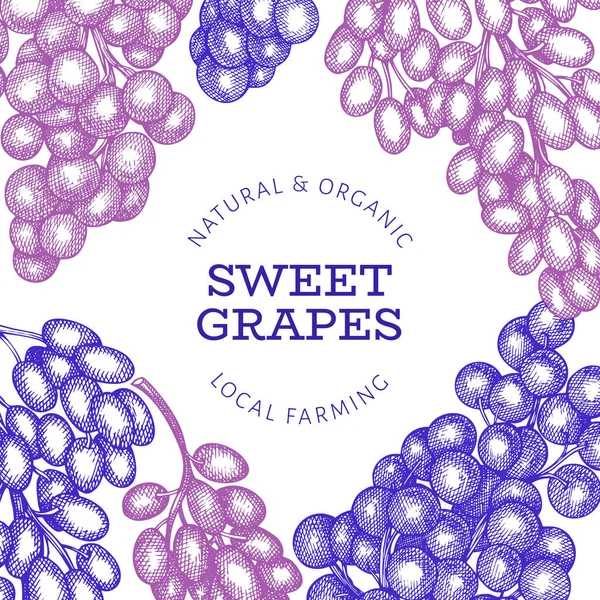 Set of three grape banners. Grape berry frame template. Hand drawn ...