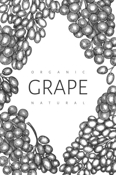 Set of three grape banners. Grape berry frame template. Hand drawn ...