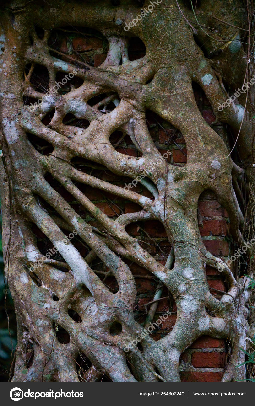 Utara Coal Mine Trace Stock Photo by ©makieni777 254802240