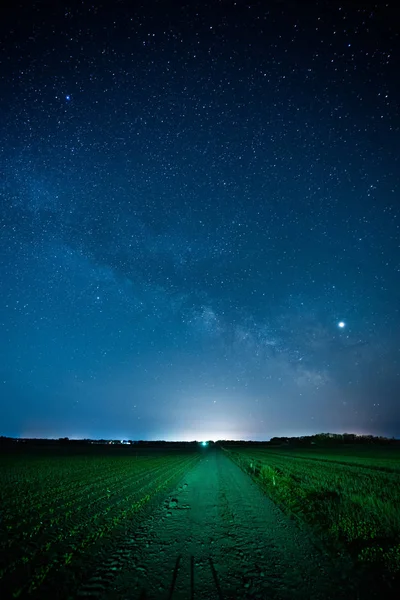 Grass Field Night Wallpaper