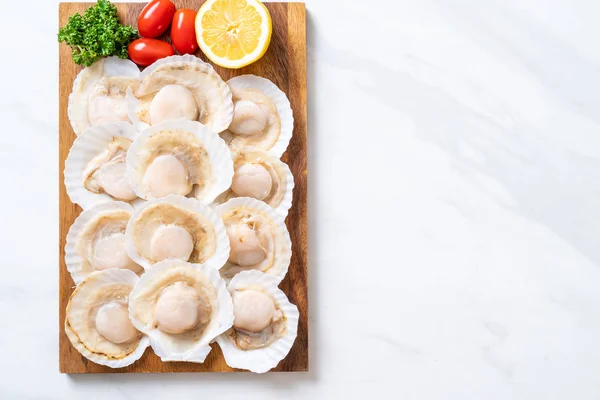 Seafood shells Stock Photos, Royalty Free Seafood shells Images ...
