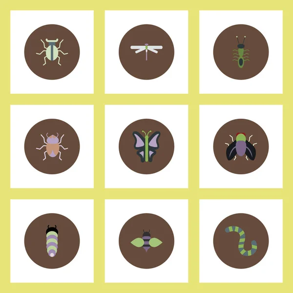 317 Brown insects Vector Images | Depositphotos