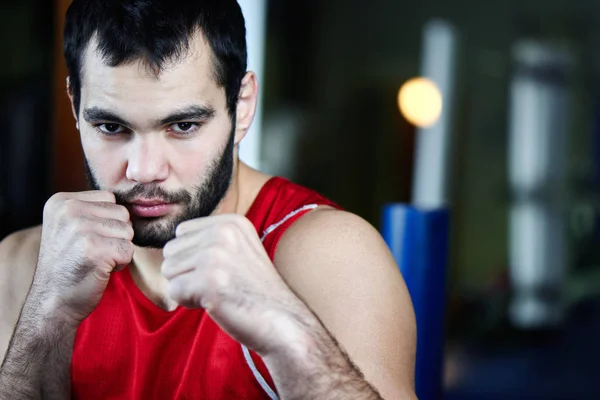 Portrait of aggressive fighter in boxing pose in gym - Stock Image ...