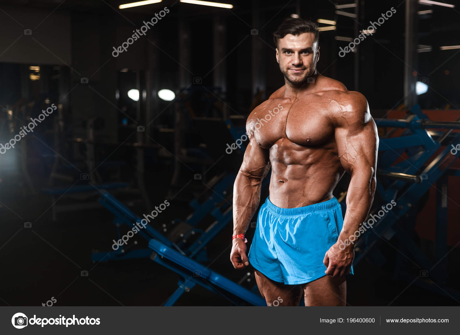 Handsome Young Fit Muscular Caucasian Man Model Appearance Workout ...