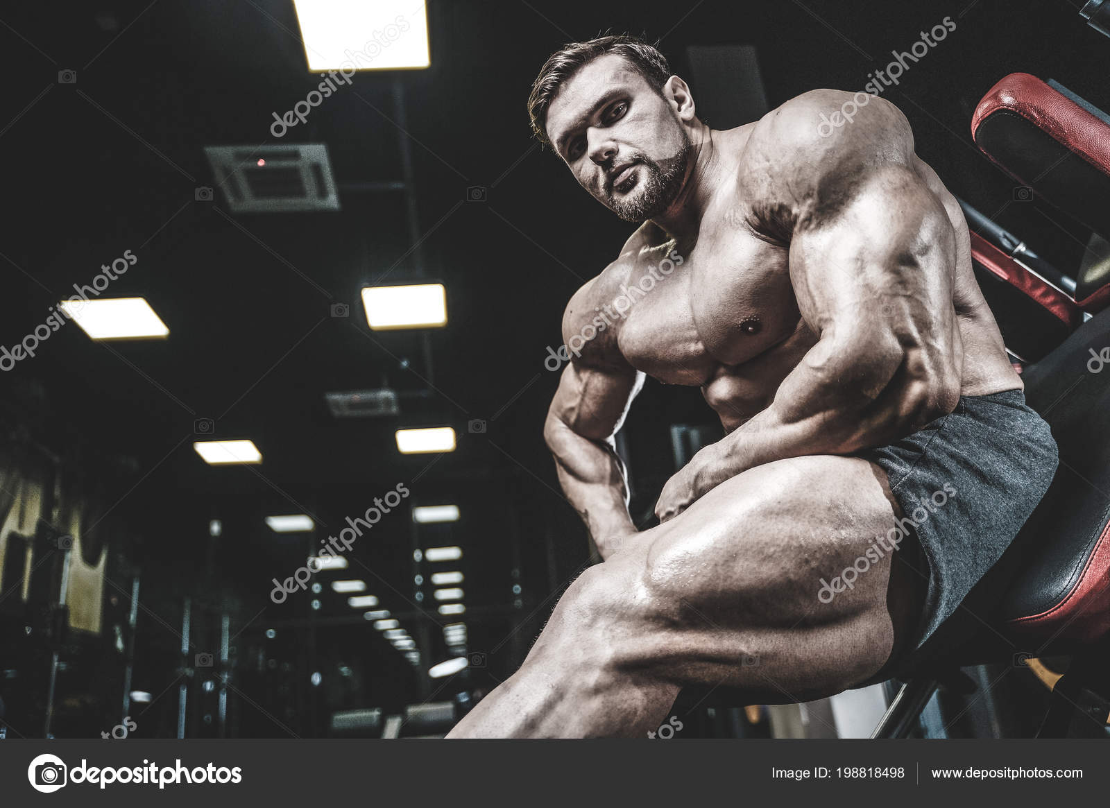 Handsome Caucasian Muscle Man Model Appearance Workout Gym Training ...