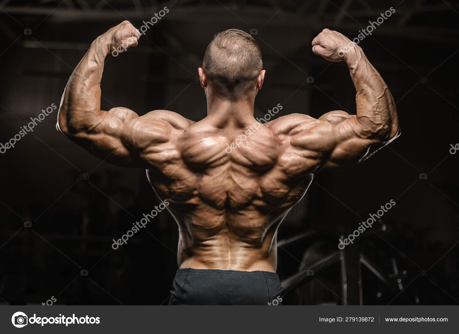 Back Muscle Exercises For Men